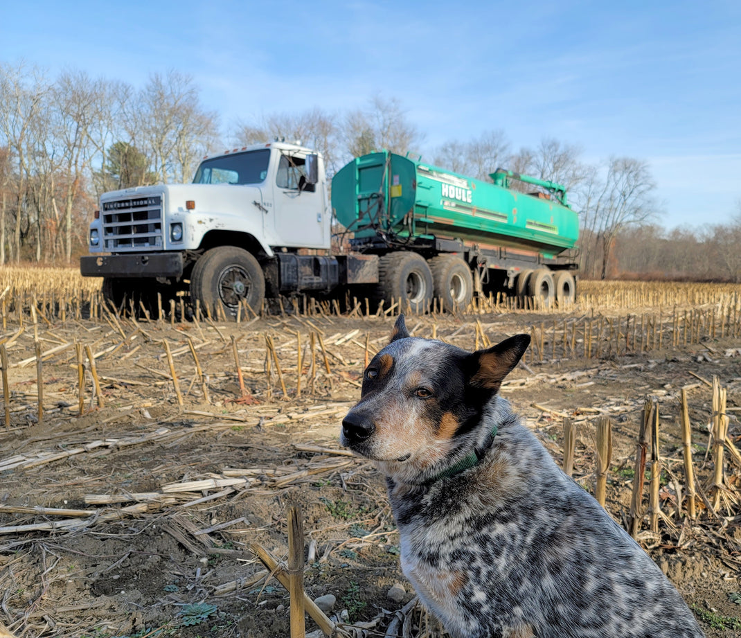 Duffy Ag Merchandise Store – Duffy AG